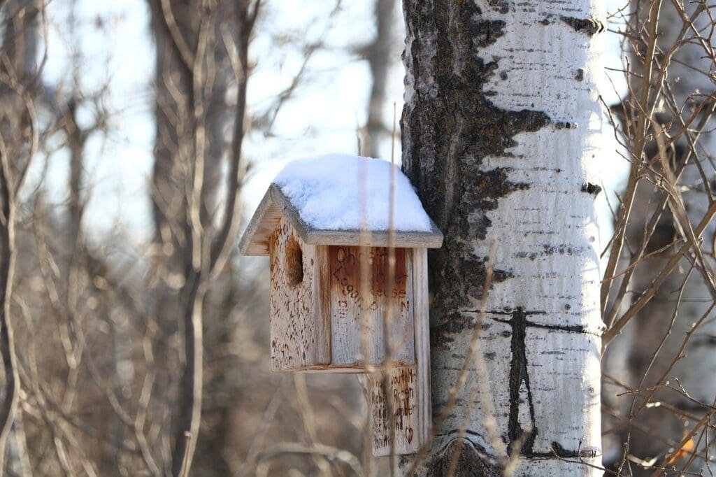 6 Ways to Attract Wildlife to Your Garden – Wild Garden Expert