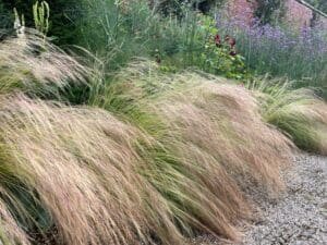 How To Create A Wild Garden That Will Attract Wildlife - Wild Garden Expert