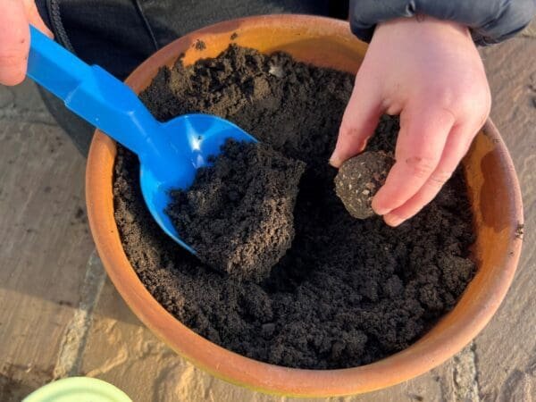How to Make Wildflower Seed Bombs – Wild Garden Expert