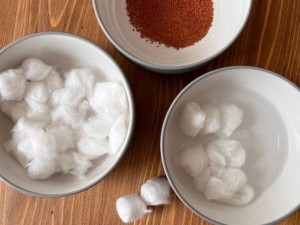 How to Make Cress Heads with Cotton Wool – Wild Garden Expert