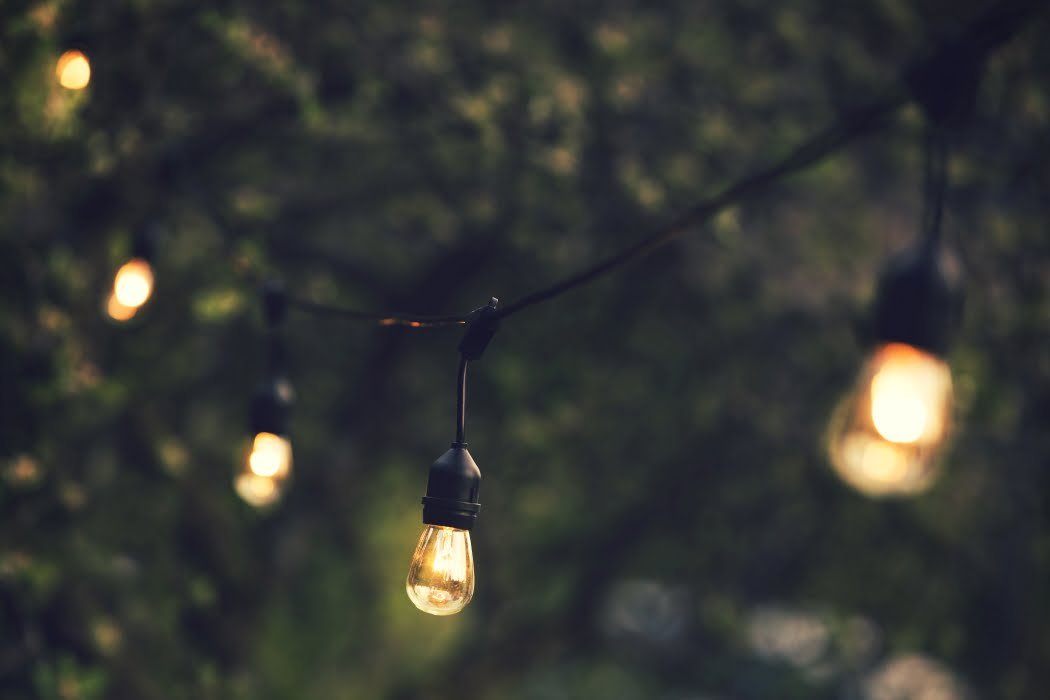 What Is a Moon Garden? Key Features and Plant Ideas