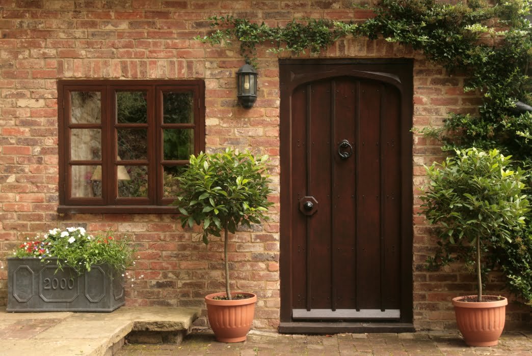 Best Evergreen Plants for Pots: Year-Round Structure and Interest ...