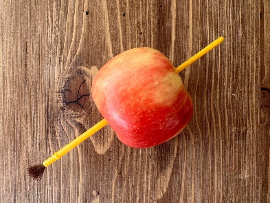 How To Make A Simple Apple Bird Feeder - A Step By Step Guide - Wild ...
