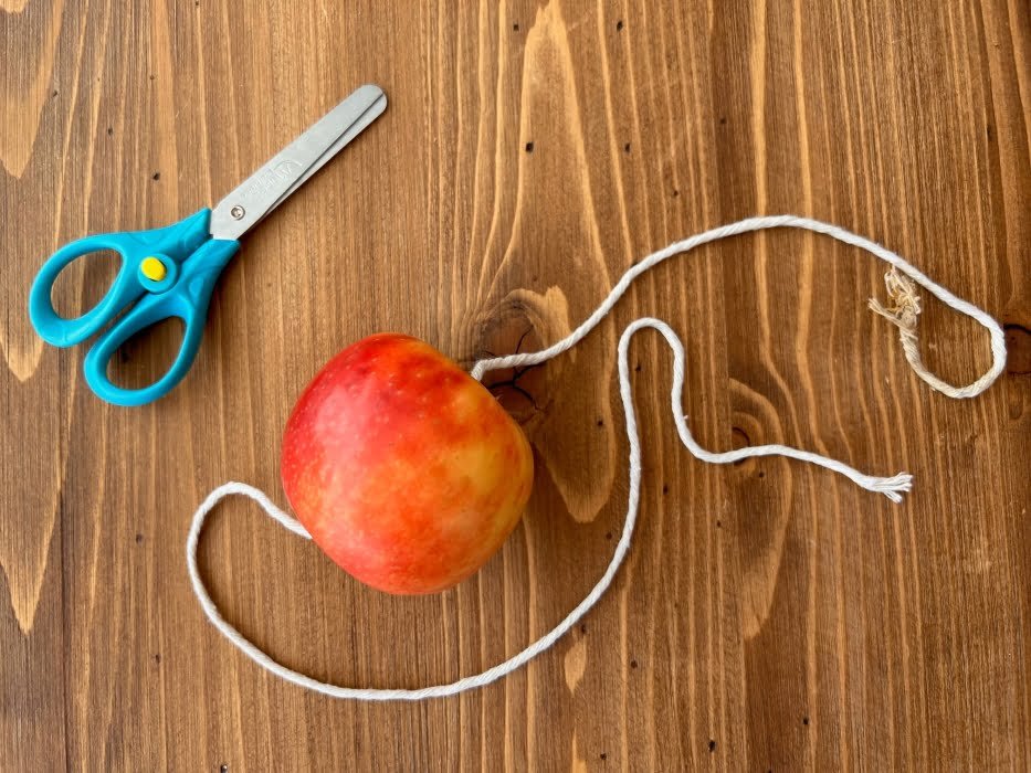 How To Make A Simple Apple Bird Feeder - A Step By Step Guide - Wild ...