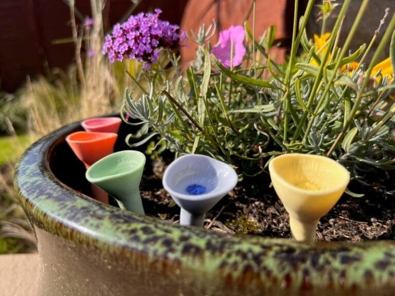 Bee Cups for Thirsty Pollinators: Reviving the Garden Buzz – Wild ...